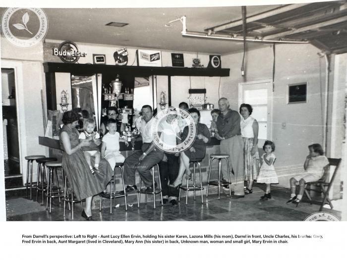 Ervin Family | Formerly Leavesonbranches.com | Ervin History & Genealogy